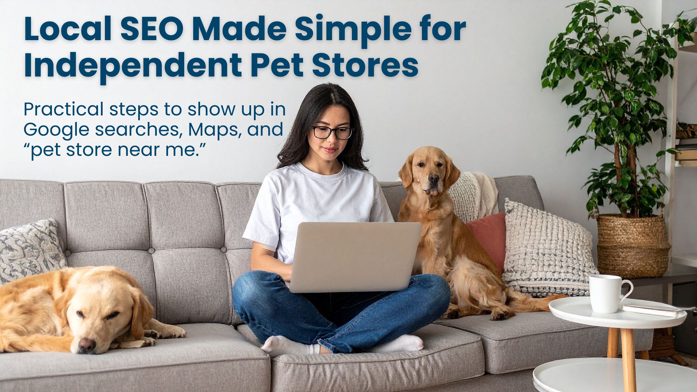 Local SEO Tips for Independent Pet Stores (That Actually Work ...